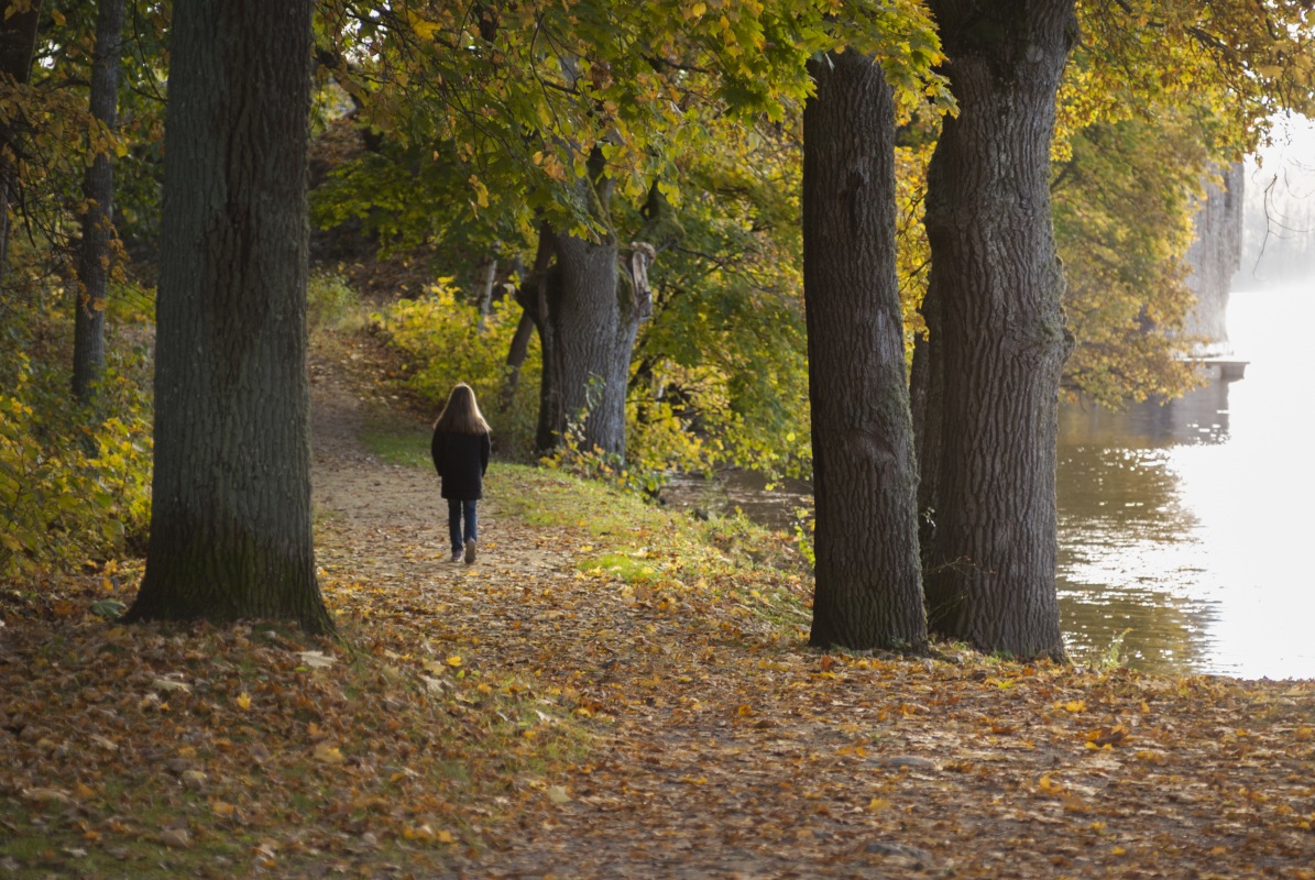 Koknese | Sightseeing | Koknese| Drupal